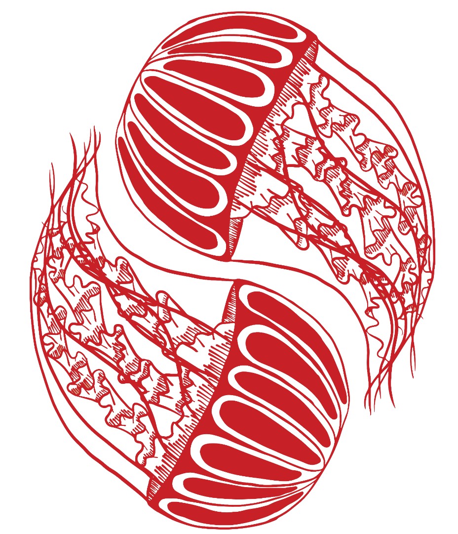 Yin Yang Jelly Collection – Big Red Jelly Merch